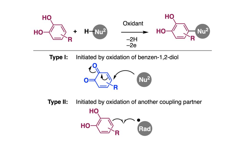 Catalytic oxidative carbon–carbon bond-formations of benzene-1,2-diols | neo-PTMs